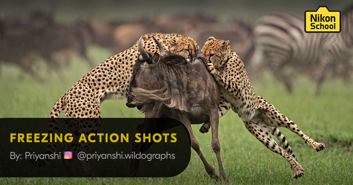 FREEZING ACTION SHOTS